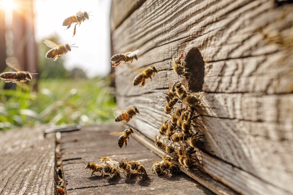 Hive Notes